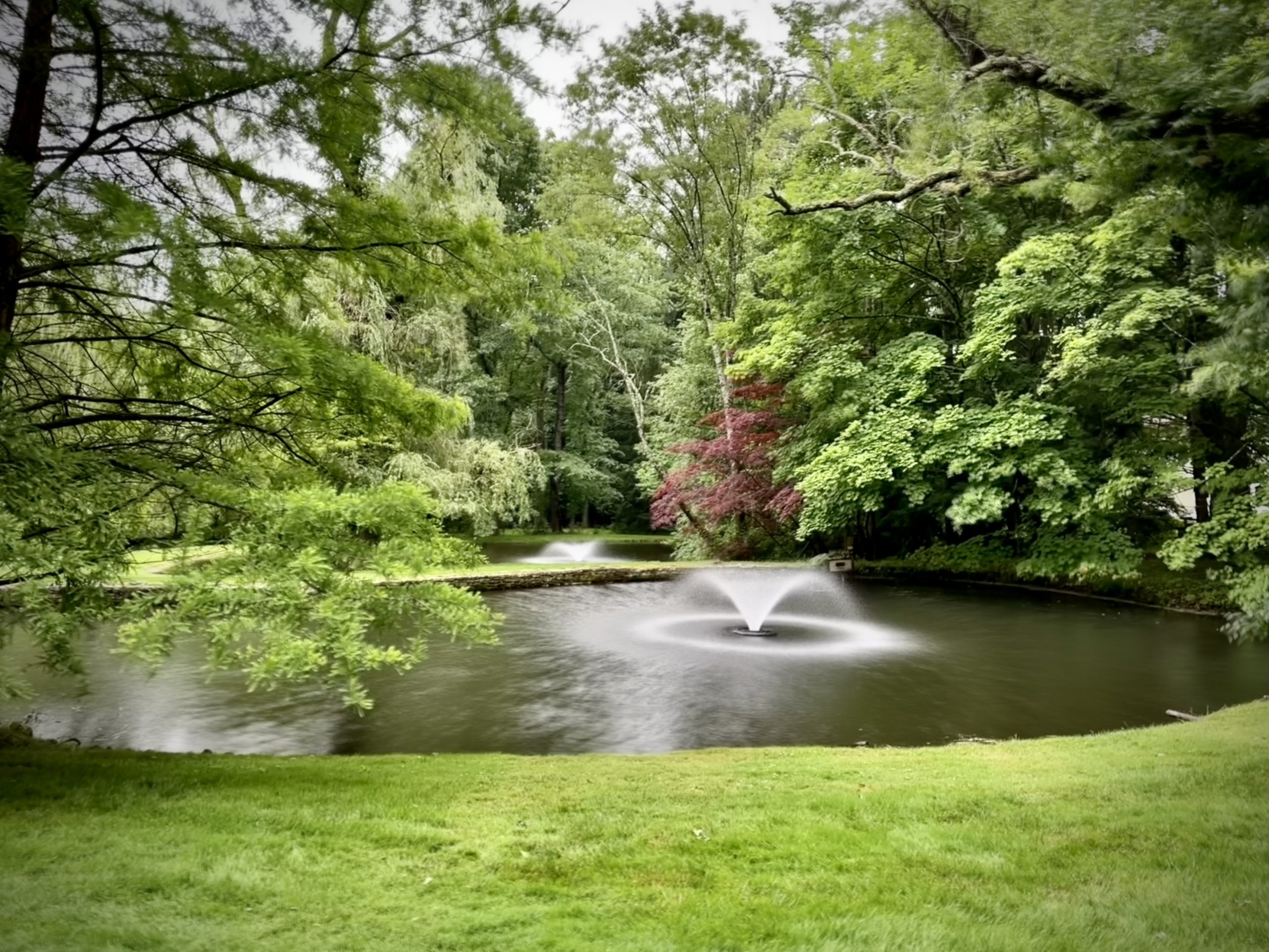 Kitchen & Garden Photo Gallery | Bucks Beautiful